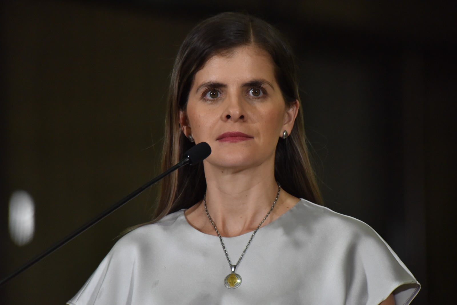 Laura Fernández niega vínculos con actividades ilícitas