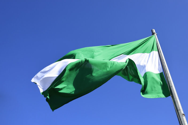 En vivo: minuto a minuto de la convención del PLN