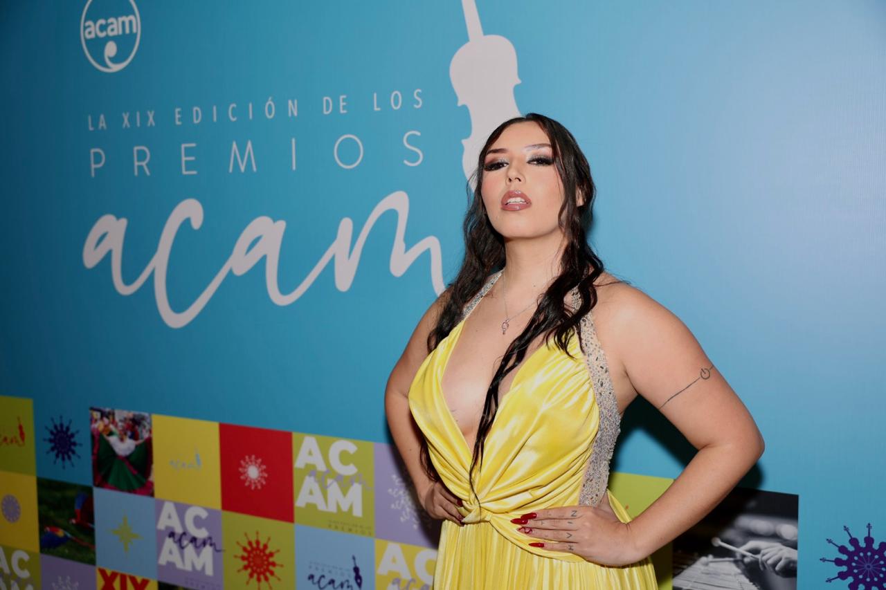 Fotos: así se vive la alfombra roja de los Premios ACAM 2025